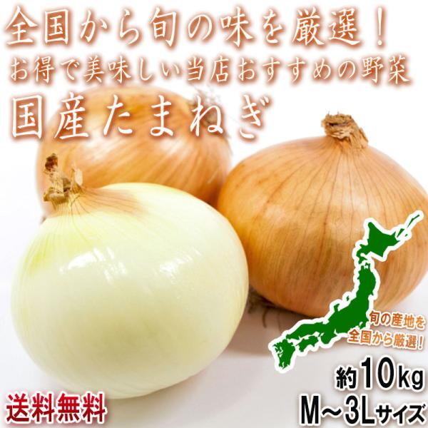 日本の1年間の玉ねぎの収穫量は107万トンです。  この収穫量を都道府県別で見ると、1位は北海道。全国の収穫量の50%以上を占めています。 そしてこの北海道の生産地の40%を占めるのが、ここきたみらい地域です。 そうつまりきたみらい地域は日...