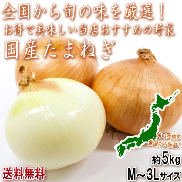 日本の1年間の玉ねぎの収穫量は107万トンです。  この収穫量を都道府県別で見ると、1位は北海道。全国の収穫量の50%以上を占めています。 そしてこの北海道の生産地の40%を占めるのが、ここきたみらい地域です。 そうつまりきたみらい地域は日...