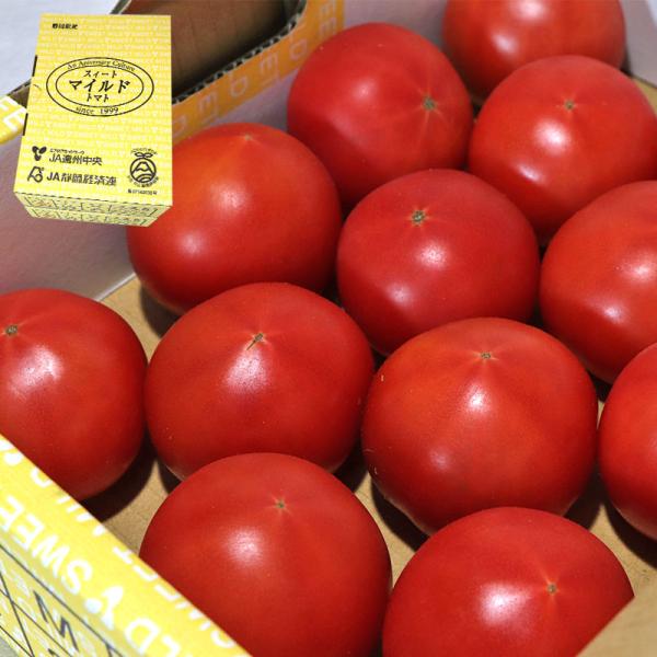 【発売日：2018年10月05日】