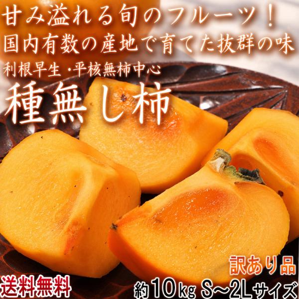 ◆種の無い果肉にまろやかな甘み！和歌山県の平核無柿　平核無柿はその四角い形と種がないことから名前が付いた柿であり、明治から栽培が始まった非常に長い歴史を誇る品種の柿です。　山形県の庄内柿や新潟の八珍柿など地名ごとに別の名前で呼ばれることもあ...
