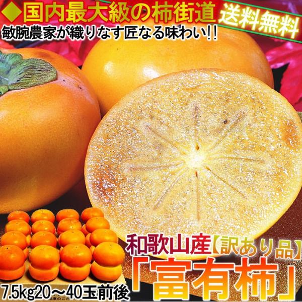 【発売日：2026年10月20日】◆最も出荷量の多い「甘柿の王様」富有柿！　富有柿は1857年から栽培が始まった長い歴史をもつ柿であり、数ある柿の中で最も出荷量が多い人気品種です！　渋抜きの必要がない「完全甘柿」の一種で、すべすべとした光沢...