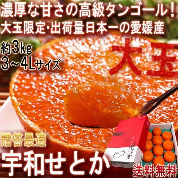 【発売日：2026年02月01日】◆高品質の証！JAえひめ南「うわの赤箱」　愛媛県はせとかや甘平、紅まどんな等の高級柑橘や、伊予柑・ポンカンなど出荷量日本一の品種を数多く有する有数の大産地です！　一年を通して温暖で晴れの日が多い気候と水はけ...