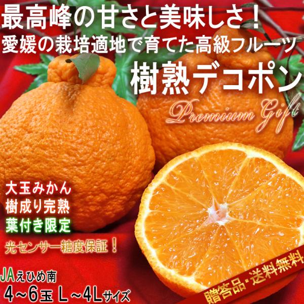 【発売日：2026年03月29日】◆愛媛県の卓越した技術で実現した高い糖度と抜群の味！「樹上完熟デコポン」　不知火みかんは室で貯蔵することで酸味を減らすフルーツですが、出荷する直前まで樹にならせて熟成させることで、より味わいを向上させること...
