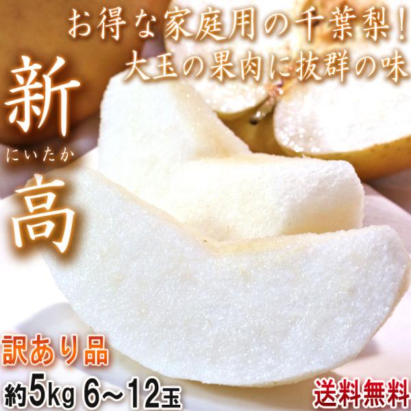 ◆大きな果実にしっかりした歯ごたえ、新高　新高は昭和2年に命名された歴史のある日本梨です。　幸水や豊水に次いで生産量の多い赤梨であり、あきづきの後に収穫が行われる晩生の品種です。　新高は果実が大きいことが特徴であり、平均で600g程の重量と...