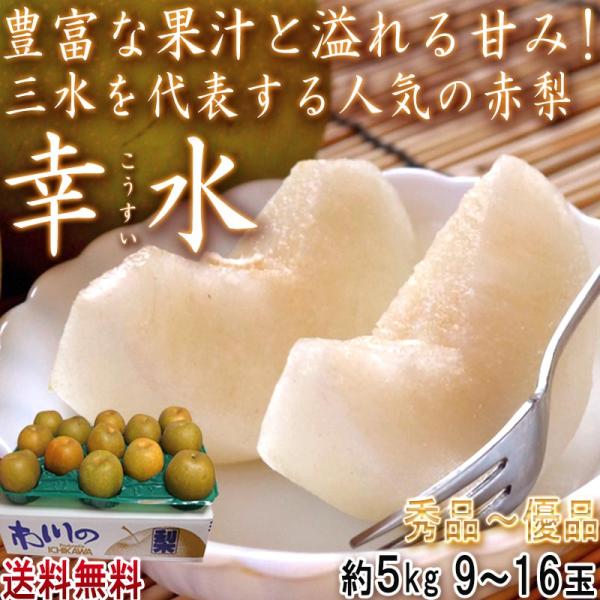 【発売日：2026年07月20日】◆生産量全国一位！高品質な千葉県の和梨　千葉県は非常に恵まれた気象条件や土壌を持つ梨の栽培適地であり、栽培面積、収穫量、産出額共に日本一の大産地です。　海に囲まれた温暖な気候と、肥料を持つ力が強く排水性の良...