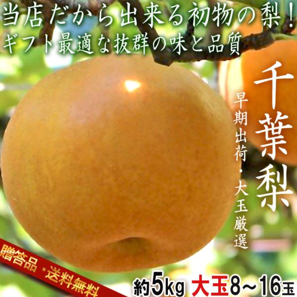 【発売日：2026年07月20日】◆生産量全国一位！高品質な千葉県の和梨　千葉県は非常に恵まれた気象条件や土壌を持つ梨の栽培適地であり、栽培面積、収穫量、産出額共に日本一の大産地です。　海に囲まれた温暖な気候と、肥料を持つ力が強く排水性の良...