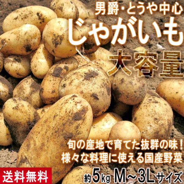 ◆出荷量全国5位！夏場に美味しい千葉のじゃがいも栽培　千葉県は多種多様な気候と平野の多い広大な土地を用いて、県内各地で様々な野菜や果物を生産する全国屈指の農林水産県です。　特にじゃがいも栽培において全国5位の出荷量を誇る千葉県は国内有数の産...
