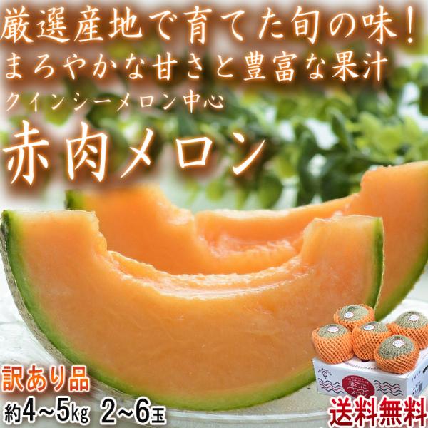 【発売日：2019年06月20日】◆生産量日本一！茨城県産のメロン　茨城県は非常にメロン栽培に適した環境を持つ地域であり、メロンの生産量が日本一の大産地となっております。　メロンは高温性の作物であり、温度差が大きい気候と水はけのよい土壌を好...