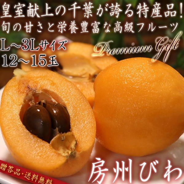 【発売日：2026年04月30日】◆250年の栽培の歴史！皇室献上の枇杷産地、千葉県　千葉県は1751年から枇杷の栽培が始まったとされ、全国でも２番目に出荷量の多い国内有数の枇杷産地です！　黒潮による温暖な気候で高い品質の枇杷を育成出来る枇...