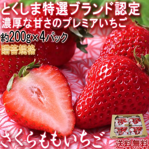 ◆高品質な苺の栽培適地！徳島県屈指の苺産地「佐那河内村」　佐那河内村は「さくらももいちご」を日本で唯一栽培する、全国でも非常に有名ないちご産地です。　山に囲まれた盆地のため、熟成に長い時間をかけるこの村の苺は、粒が大きく甘さが向上してより品...