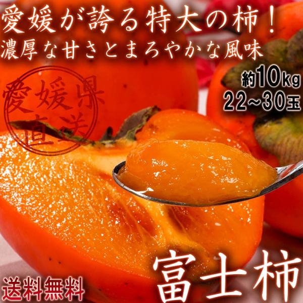 【発売日：2026年10月20日】◆大玉の果実に濃厚な甘さ！愛媛県の特産品「富士柿」　富士柿は昭和２年に蜂屋柿から枝変わりで生まれ、迫力のある大きな果実と美味しさから愛媛県を代表する特産品のフルーツです！　富士山を思わせる果実の大きさと形か...