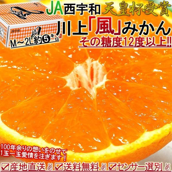 【発売日：2026年11月10日】