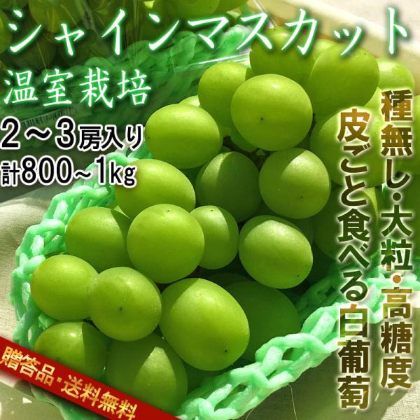 【発売日：2020年07月15日】◆皮ごと食べられる高い糖度の白葡萄、温室栽培のシャインマスカット　シャインマスカットはTVでも放送され、高級フルーツとして非常に知名度のある白葡萄です。　2006年に品種登録がされたばかりの新しい品種であり...