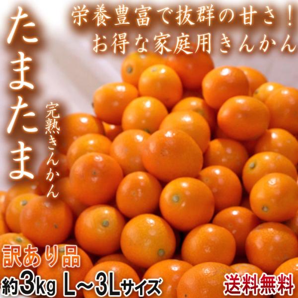 ◆有数の金柑産地、宮崎県の完熟金柑　宮崎県は全国の金柑の栽培面積の5割以上、出荷量の7割以上を占める金柑の大産地です。　元々露地栽培で早めに収穫するためエグ味や酸味が強いイメージがあった金柑ですが、ハウス栽培を積極的に行ってきた宮崎県の金柑...