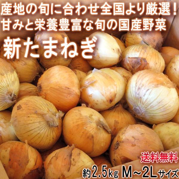 ◆みずみずしい食感と甘み豊かな旬の野菜「新たまねぎ」！　新たまねぎは早春から春の短い間に出荷が行われる野菜であり、早採りして乾燥させず出荷するため、水分が豊富でやわらかな食感が特徴の玉葱です。　乾燥して貯蔵させることに適さない白玉ねぎが主に...