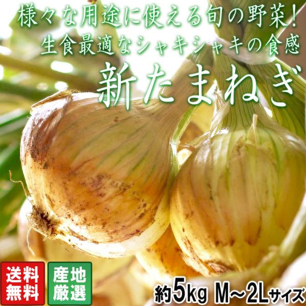 ◆みずみずしい食感と甘み豊かな旬の野菜「新たまねぎ」！　新たまねぎは早春から春の短い間に出荷が行われる野菜であり、早採りして乾燥させず出荷するため、水分が豊富でやわらかな食感が特徴の玉葱です。　乾燥して貯蔵させることに適さない白玉ねぎが主に...
