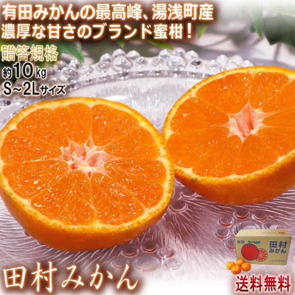 【発売日：2024年11月30日】◆出荷量日本一！和歌山県が誇る温州ミカン栽培　和歌山県は、柿やスモモなど多種多様な作物を育てるフルーツ産地であり、特に温州ミカンの出荷量は愛媛県を凌ぎ日本一を誇る大産地です！　日当たりと水はけのよい土地で育...