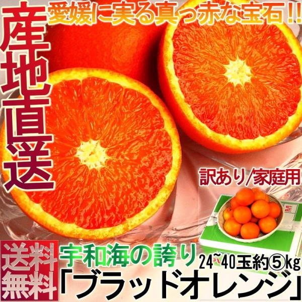 【発売日：2026年02月20日】【送料無料】【産地直送】２００７年日本解禁!!口の中いっぱいに広がる特徴的な果肉とあま〜い果汁、そしてさわやかな香りはいくら食べても飽きがきません。包丁でカットした途端に溢れてくるたっぷりの果汁を思う存分お...