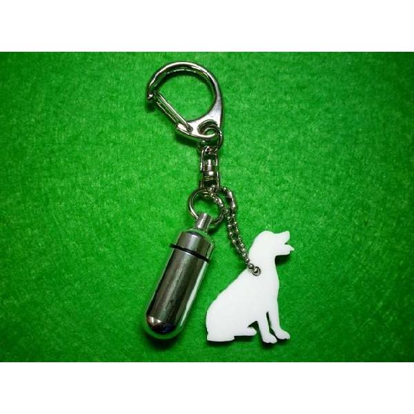 実売60,000個突破多くの飼い主様が当社の遺骨カプセルをご愛用されています