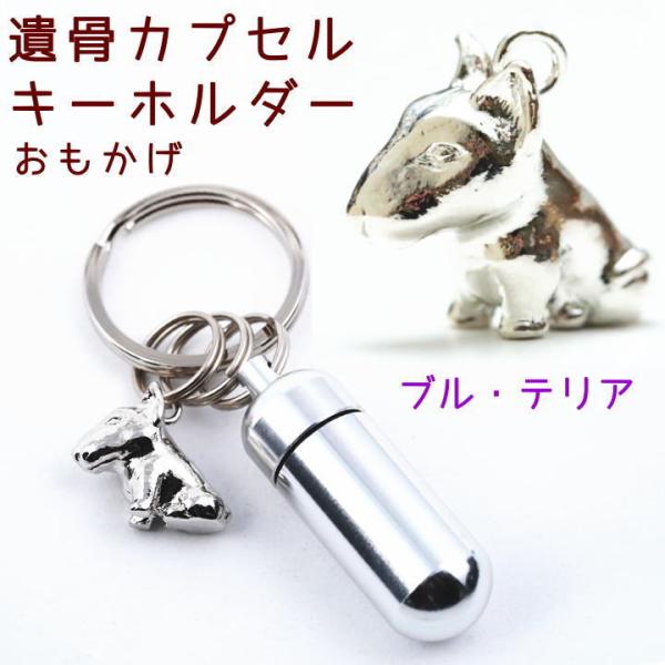それぞれの特徴を生かしたかわいいチャームと軽くてさびにくく耐久性に優れるアルミ素材を使用、開口部が広いので、遺骨などをそのまま入れて頂けます。遺骨カプセルに適した素材で、長く安心してお使い頂けます【サイズ】カプセル本体：全体の長さ4cm　直...