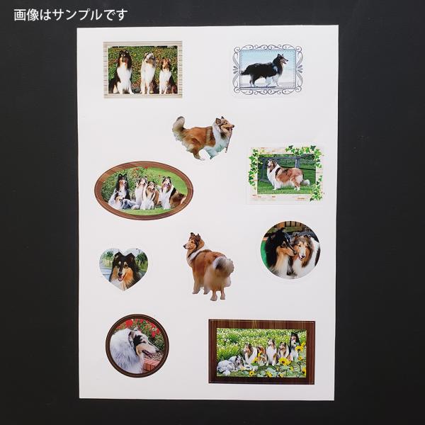 お送り頂いたお写真でうちの子のシールセットをお作りします。２１ｃｍ × １４ｃｍ のサイズに１０種類のデザインシールをお作りしますので、複数枚お写真を送って頂いても結構です。シールの輪郭はデザインに合わせてカットされています。デザインは当店...