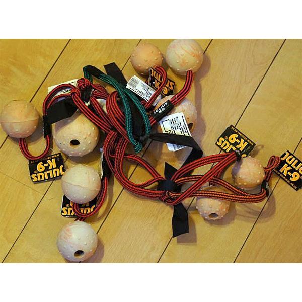 ヨーロッパ・ハンガリーにあるドッググッズブランド【Julius-K9】。１５年以上の歴史があるドッグブランドとなり、主にハーネス・リード、首輪などを製造しています。本国ハンガリーはもちろん、ドイツなどヨーロッパを中心に大変人気があるブランド...