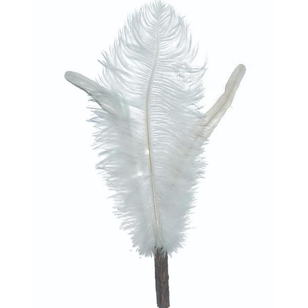 取付部分の根元に100％天然のまたたび使用。羽の部分は猫の原始的な野生の狩りを喚起することでストレスを解消できます。【材質・成分・素材など】またたび、駝鳥の羽、鶏の羽【製造国】中国【サイズ】W2.0×D2.0×H40.0cm【メーカー名】エ...