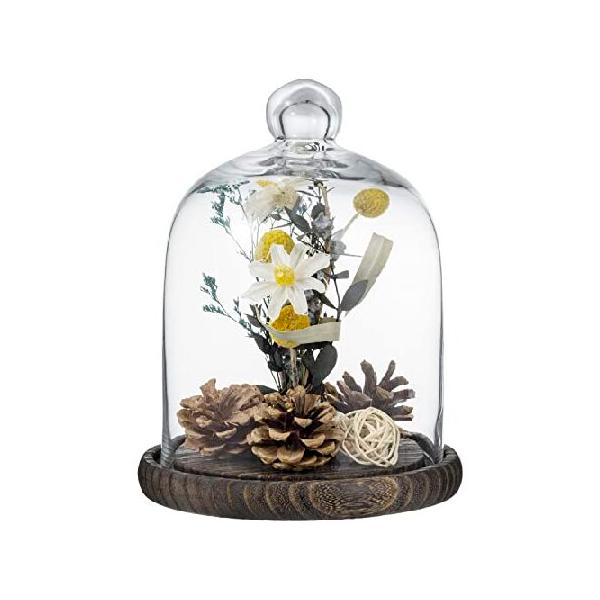 ■本商品は海外取り寄せの並行輸入商品、新品となります。■日本へ輸送する都合上、お届けまで5~14営業日程お時間を頂いております。■天候による運行状況や税関審査にて遅延が発生する場合もございますのでご了承くださいませ。■日本到着後に発送と追跡...