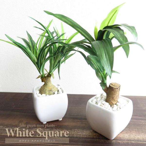 ※※※ ラッピング不可／対象外商品 ※※※■ 商品情報 ■どこでも気軽に楽しめ、インテリアに上手く調和する。爽やかなホワイトカラー、独特の形状が魅力的なフェイクグリーンが登場。幸福の木として人気のドラセナ、幹がぷっくりと膨らんだユニークなノ...