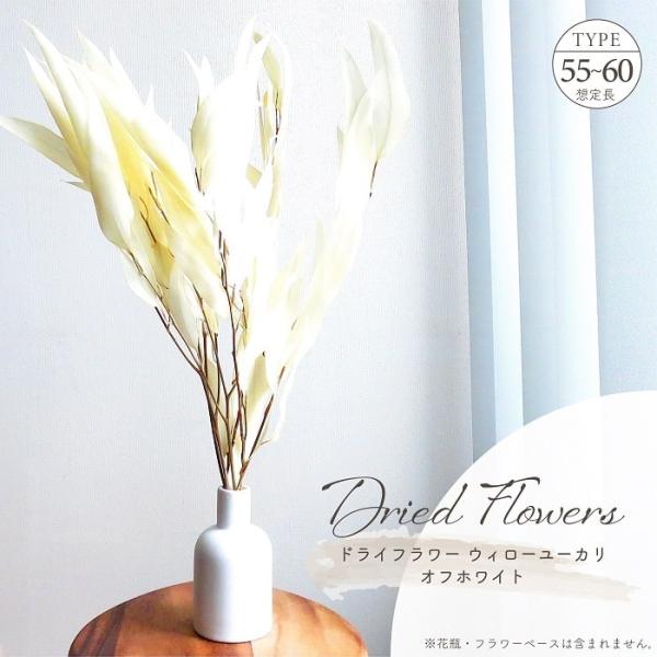 ■ 商品情報 ■オフホワイトのやさしい色合いに、すっきりとした葉形でブーケやスワッグに合わせやすいウィローユーカリのドライフラワー。色を抜くさらし加工を施した花種等は近年人気の高いドライフラワーです。その繊細な風合いは、そのまま飾るだけでも...