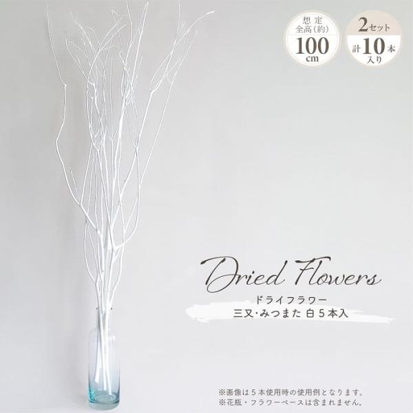■ 商品情報 ■【※通常5本入りの物を「2セット」での販売となります。】自然が生み出す美しい流線美が華やかさをプラス、デザインの構造性を高める枝物ドライ素材「三又・みつまた 白」。アレンジ花材として抜群の存在感を加えて、空間演出やディスプレ...