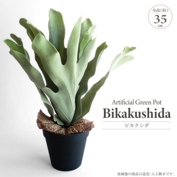 ■ 商品情報 ■鹿の角のような独特の葉の形状、生きたアートのような独特のシルエット、インテリア性の高いデザインで再現された「ビカクシダ」。別名コウモリランとも呼ばれ、2種類の胞子葉と貯水葉で構成された本物のようなリアルな質感と色合い、そのフ...