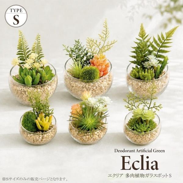 ■ 商品情報 ■【※当ページはSサイズのみの販売となっております。】リアルな質感の多肉植物とグリーンを透明感のあるガラスポットにバランスよくアレンジした「Eclia-エクリア」シリーズ。本物の植物のような自然な見た目ながら、水やりや日光など...