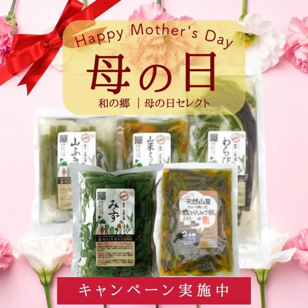秋田の山菜取り名人たちが、山をひとつひとつ歩いて手摘みした天然山菜の詰め合わせです。ふき・わらび・みず・山菜ミックス・炊き込みご飯の素の5種類をセットにしました。保存液には梅酢のみを使用し、食品添加物は一切不使用。自然のままの風味と食感をそ...
