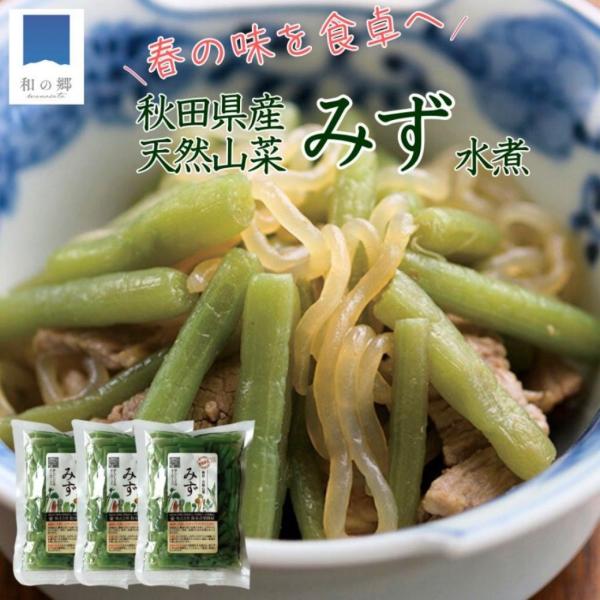 【発売日：2026年08月01日】秋田の山々が育んだ、天然山菜の贅沢な味わい春の訪れとともに芽吹く山菜には、自然の恵みがぎゅっと詰まっています。この4種(みず・山ふき・山菜ミックス・わらび)は、秋田の山菜取り名人160余名が、ひとつひとつ丁...