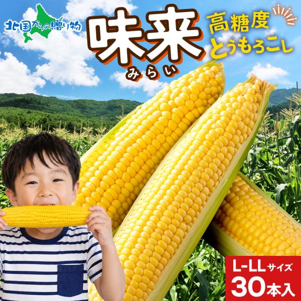 【発売日：2026年08月07日】■商品内容：北海道産 トウモロコシ 味来 13kg前後（30本）■出荷予定日：【日時指定不可】8月中旬-9月中旬頃入荷次第、ご予約順に出荷いたします。天候等により、出荷時期が変更となる場合がございます。■送...