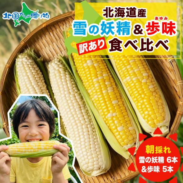 【発売日：2026年07月24日】■商品内容：北海道産 とうもろこし 訳あり 食べ比べセット 計11本・ホワイトコーン 雪の妖精　6本・バイカラーコーン 歩味 5本■出荷予定日：【日時指定不可】8月中旬-9月下旬頃入荷次第、ご予約順に出荷い...