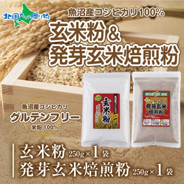 ■商品内容：米粉2種（玄米粉 250g、発芽玄米焙煎粉 250g）■お届け日：4-5日以内に発送予定（土日祝日・年末年始を除く）■送料：送料無料（沖縄・離島、一部地域は配送不可）■配送方法：常温便■保存方法：常温保存。直射日光、高温多湿をお...