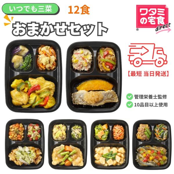 セット内容おまかせ、最短当日発送（12：00までの注文確定）・冷蔵の宅配弁当15年連続シェアNo1のワタミが手掛ける冷凍弁当・主菜と2種の副菜のおかずのみの「いつでも三菜」　食塩相当量2.0g以下※、カロリー250kcal基準、1食あたりの...