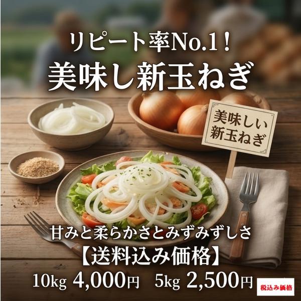 淡路島産の新玉ねぎ（新たまねぎ）5kg、綺麗な「秀品」を産地直送でお届け！兵庫県南あわじ市の肥沃な大地で、先祖代々農業を営む熟練農家さんが丹精込めて育てました。良質な新玉ねぎの中でも、目利きの店長が「柔らかい・甘い・みずみずしい」ものを厳選...