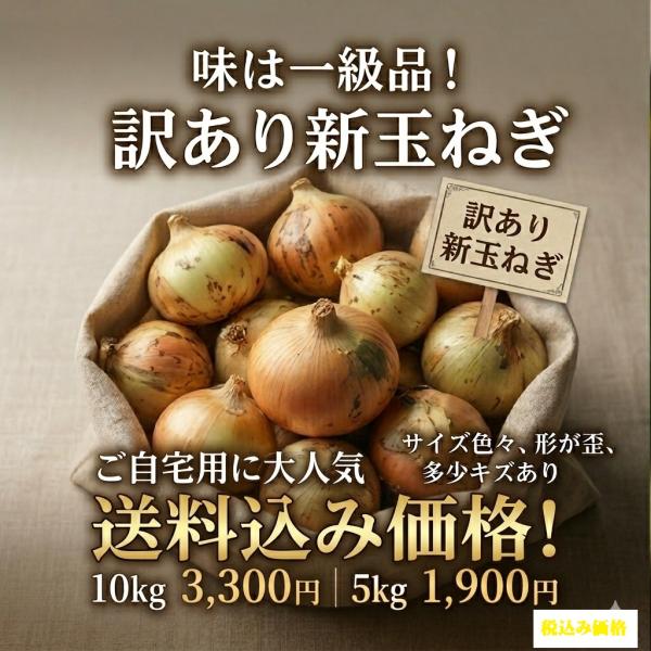 みずみずしくて、甘くて柔らかくて美味しい淡路島の玉ねぎ！今回出品の玉ねぎは、淡路島名産玉ねぎ　『新玉ねぎ』です。淡路島が誇るプレミアムな玉ねぎを特別価格で味わってみませんか？形が不揃い・歪（ひっついている）芯がある・ハゼている（中が少し見え...