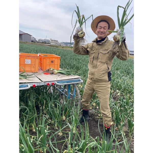兵庫県推奨ブランドの玉ねぎです淡路島の南あわじ市で先祖代々農業を営み、良質の新玉ねぎ（極早生）を栽培してる農家さんより選りすぐりで甘くて、みずみずしくてやわらかい、超新鮮な新玉ねぎ（極早生）を直送！なんと！農家の家から農家に嫁いだ生粋の玉ね...