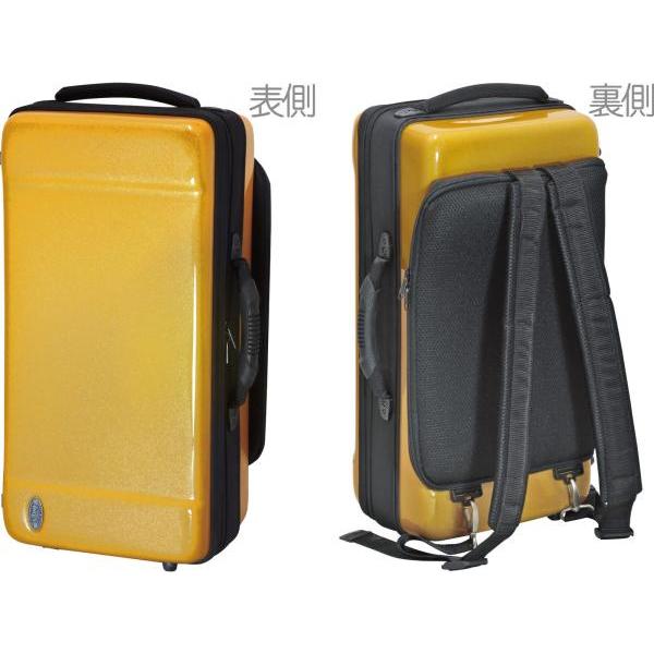 北海道 沖縄 離島 代引き 同梱不可。スペイン製でハンドメイドで生産。ファイバーケースでファイバーとは軽量ながら強度も高い素材。取り外し不可のリュックは使用しないときは収納するタイプ。ショルダー持ちはできません。開閉はジッパータイプで衝撃か...