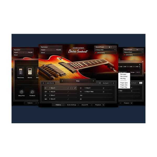 現代の音楽制作に理想的なELECTRIC SUNBURSTは、往年のエレクトリックギターを正確にキャプチャーしています。ストラミングパターン、アルペジオ、本格的なリフの幅広いライブラリとリアルタイムのパフォーマンスコントロールを組み合わせ、...