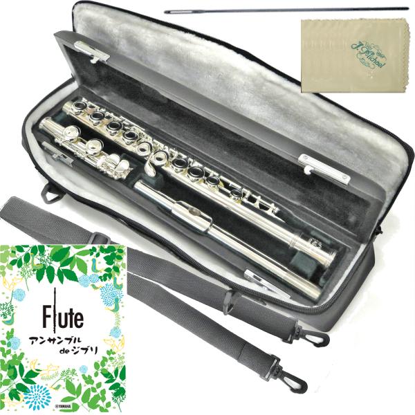 北海道不可 沖縄不可 離島不可 代引き不可 同梱不可。一般的なフルートは最低でも8万円前後が相場の楽器。低価格帯の楽器は精度が低く 調整検品も価格相応。それらと同じクオリティ 吹奏感ではありません。吹きにくい 音がならない 音程感が悪いなど...