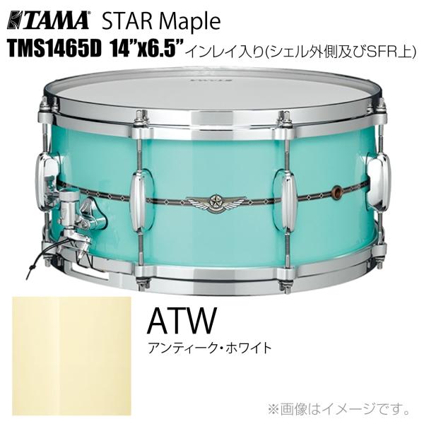 メイプル特有の明るくオープンなサウンドに加え、豊かなダイナミクスと芯の太いサウンドが魅力！【スペック】Size：14"×6.5"Shell Material：MapleHoops：ダイキャスト（8テンション）Lugs    ：MSL90SS...