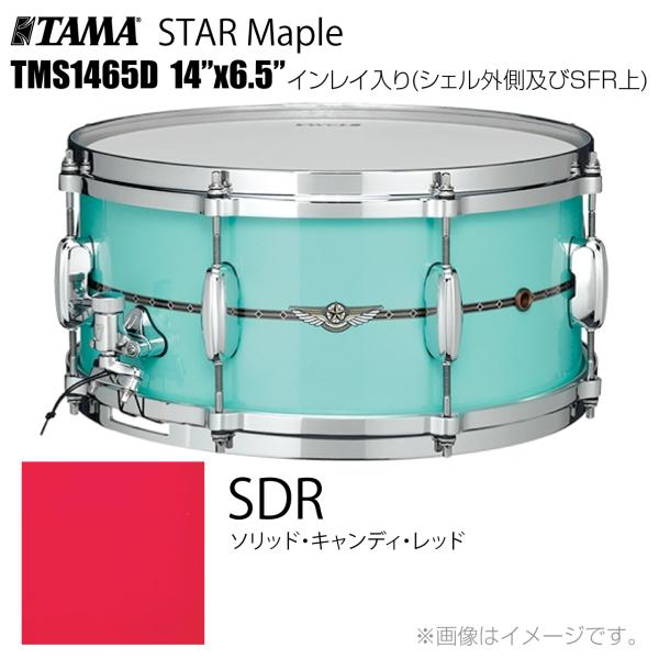 メイプル特有の明るくオープンなサウンドに加え、豊かなダイナミクスと芯の太いサウンドが魅力！【スペック】Size：14"×6.5"Shell Material：MapleHoops：ダイキャスト（8テンション）Lugs    ：MSL90SS...