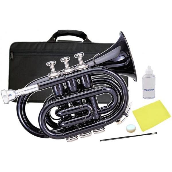 北海道不可 沖縄不可 離島不可 代引き不可 同梱不可。一般的なトランペットは最低でも8万円前後が相場の楽器。低価格帯の楽器は精度が低く、調整検品も価格相応、よってそれらと同じクオリティ 吹奏感ではありません。吹きにくい 音がならない 音程が...