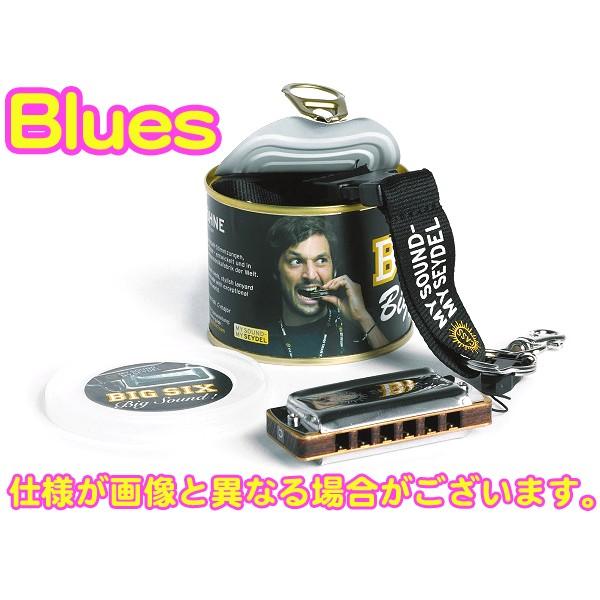 こちらは【Blues】です。ドイツの高級ハーモニカサイドルは細部にこだわりあり。大きな違いはステンレスのリード。耐久性が高いだけではなく 倍音豊かで迫力のあるサウンド。1847シリーズと同じ木製ボディは角とりもされていて口当たりも滑らか。防...