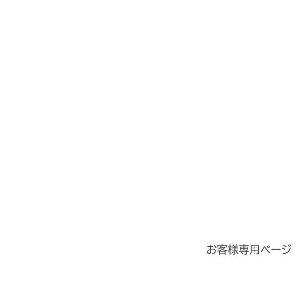 こちらは特定のお客様に対しての決済ページとなります。お心あたりのないお客様はお手続きされませんようお願いいたします。